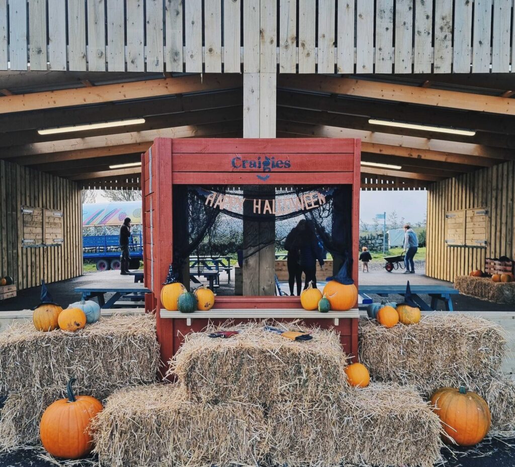 Home - Little Farmers