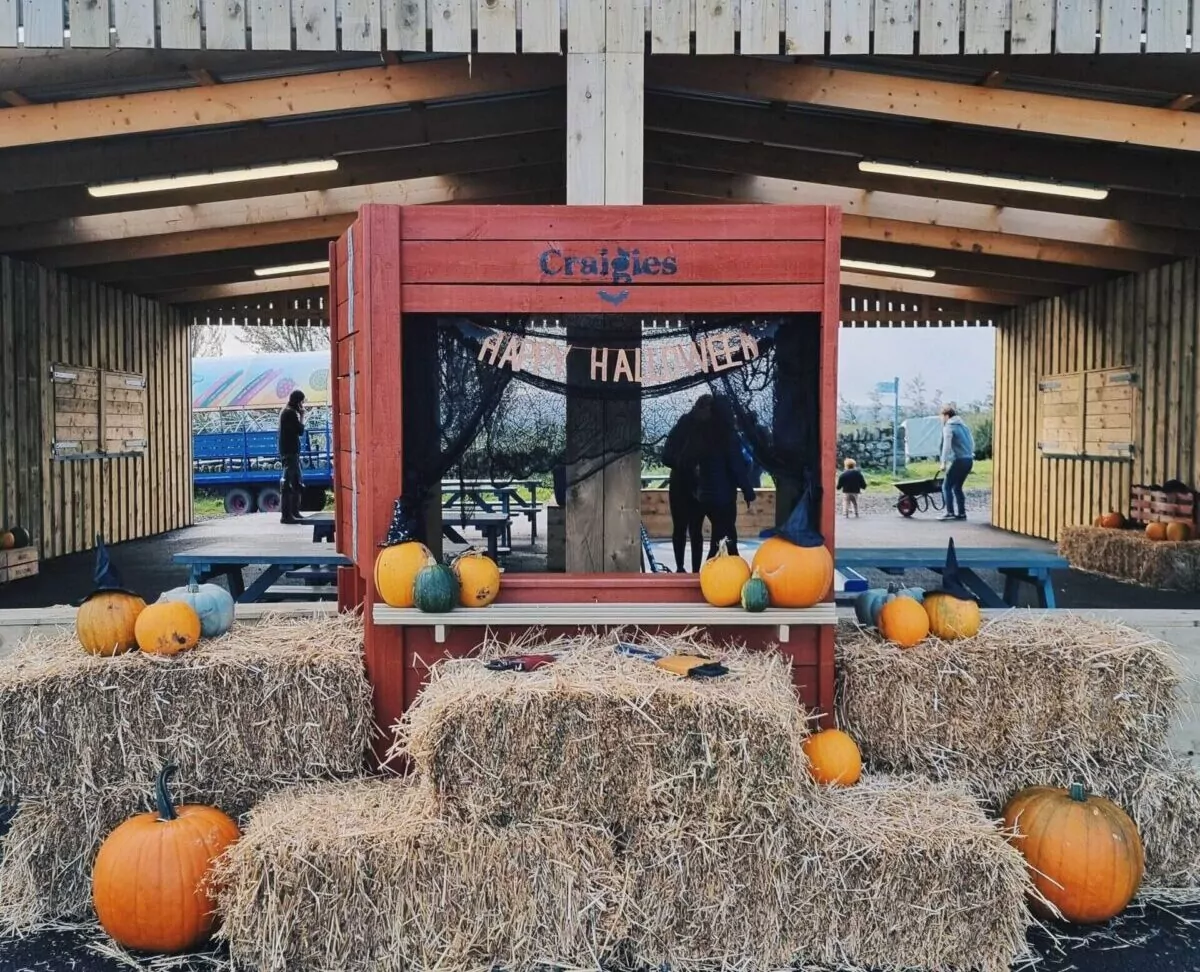 Fun Halloween Ideas and Activities for Kids - Little Farmers